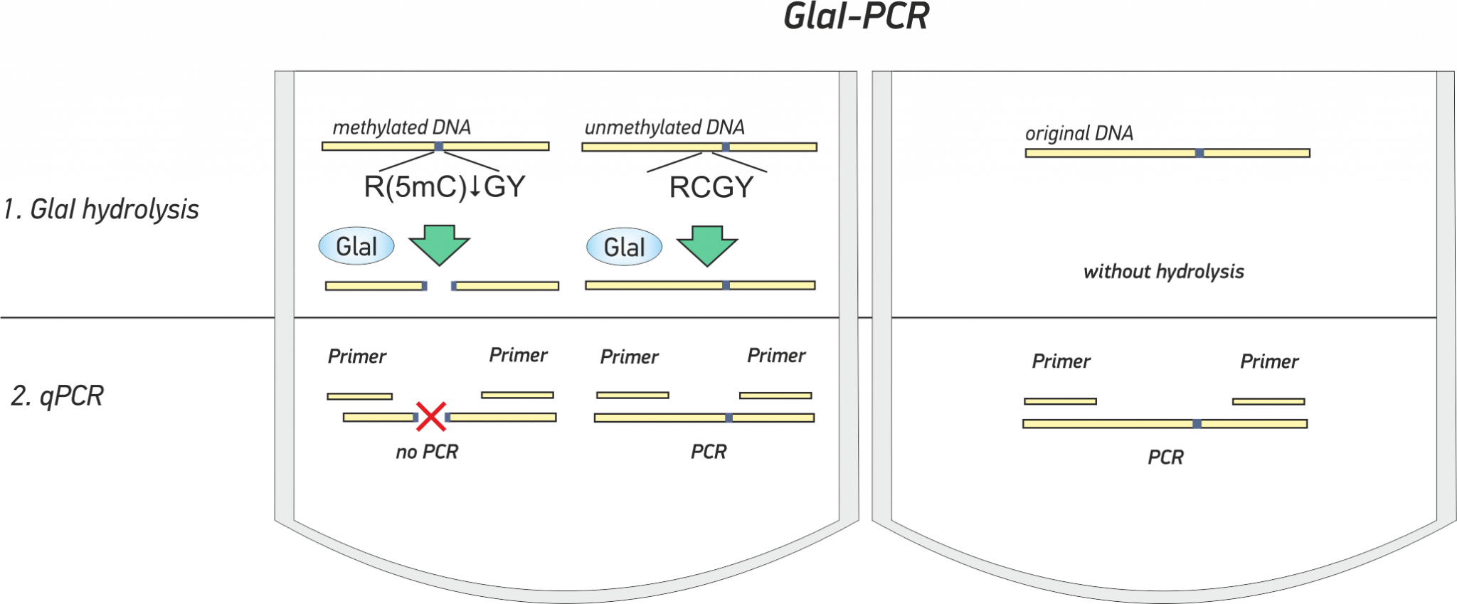 Эпигенетика — SibEnzyme