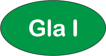 Epigenetics – SibEnzyme